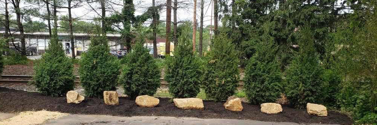 Jay Kaplan: Tree planter extraordinaire - Energize!