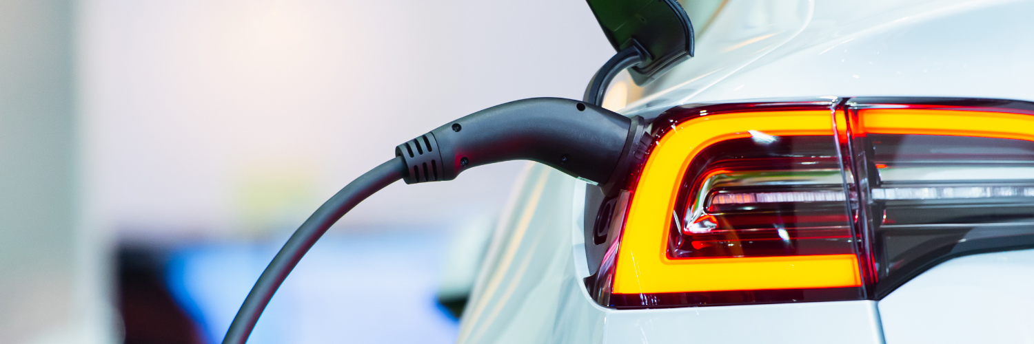 EV Adviser: Your ultimate guide to electric vehicles - Energize!